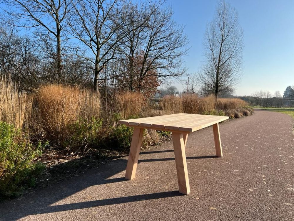 Douglas tuintafel Marc met schuine houten poten kopen? Bestel nu [20%]